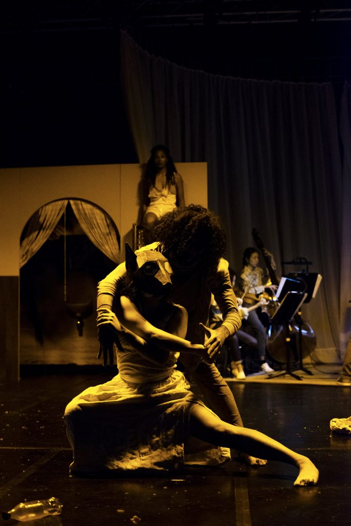 L’Histoire du Soldat / Renard - giuliagiammona